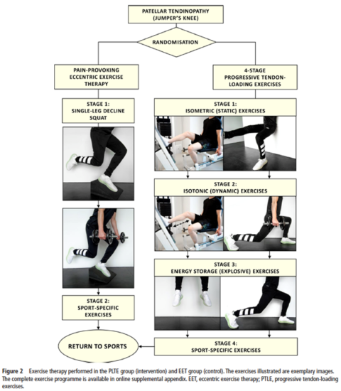 Effectiveness of progressive tendon-loading exercise therapy in ...